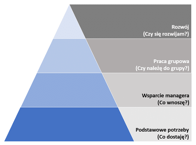 Gallup Q12 | Najsłynniejsza ankieta pracowników | SurveyLab