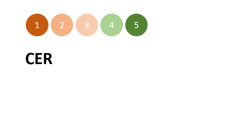 CER (Customer Experience Rating) - SurveyLab